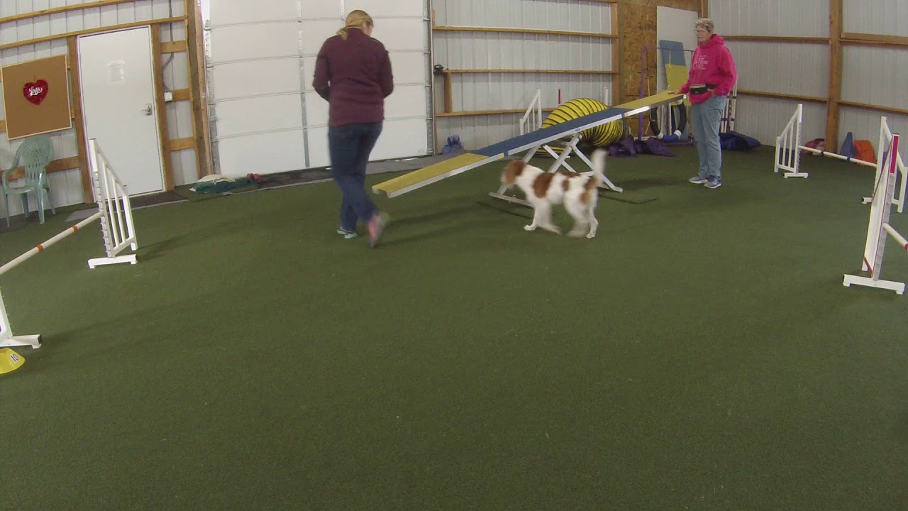 Maze Teeter Bang Game Agility - YouTube