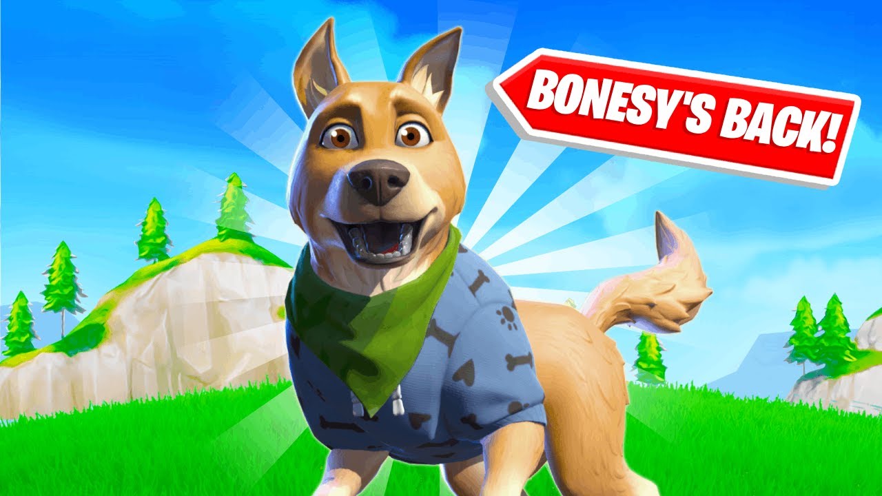*NEW* BONESY SIDEKICK in FORTNITE! Full In-Game Showcase (All ...