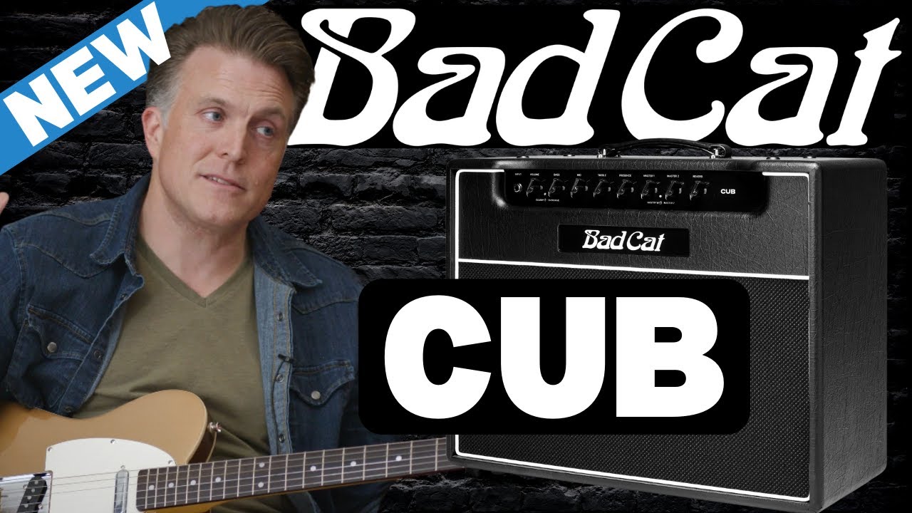 Reaction: NEW Bad Cat CUB - YouTube