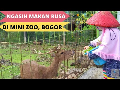 Rekomendasi Wisata Edukasi dan Outbound Anak | REVIEW JBOUND BOGOR ...