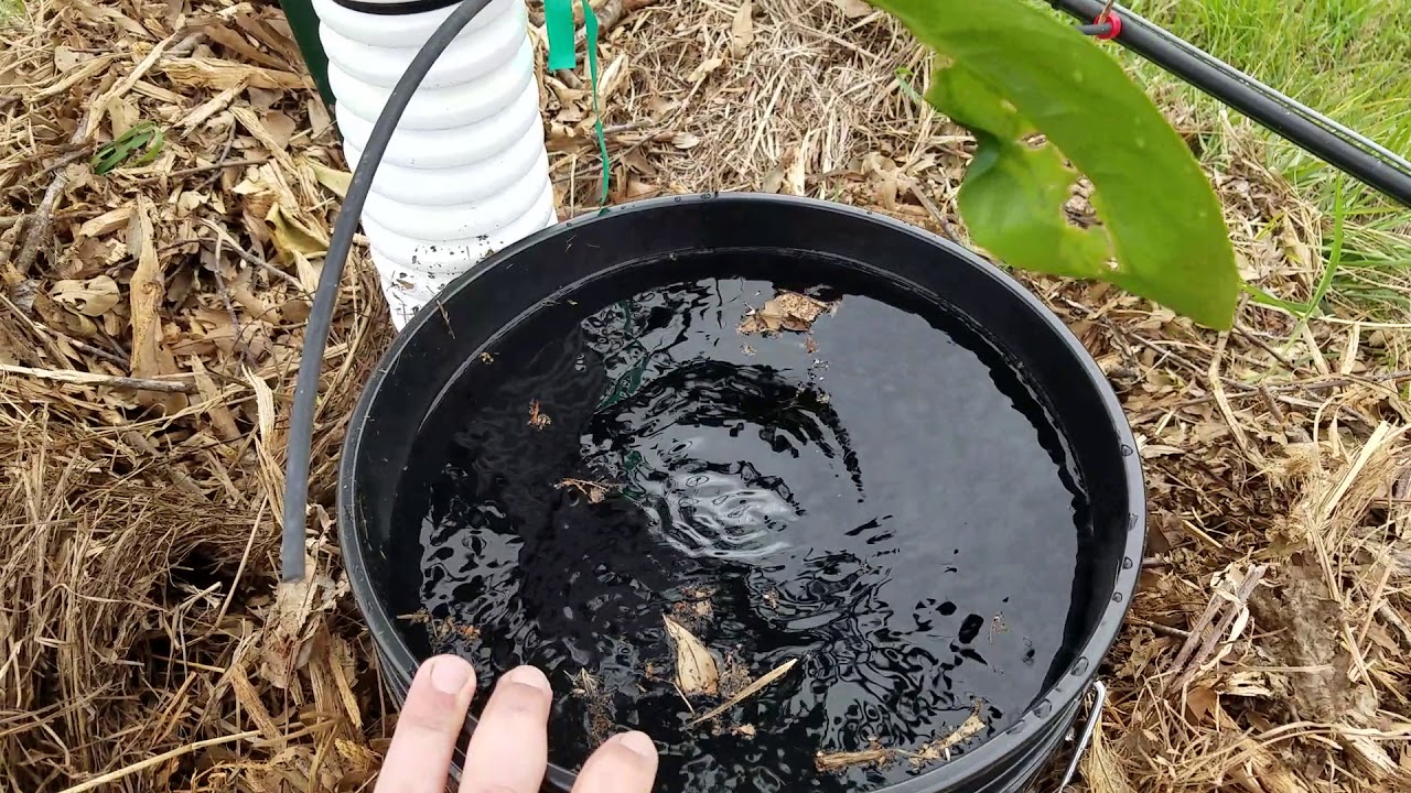 Fall 2017 pre-freeze fruit tree garden update and 2018 plans! - YouTube
