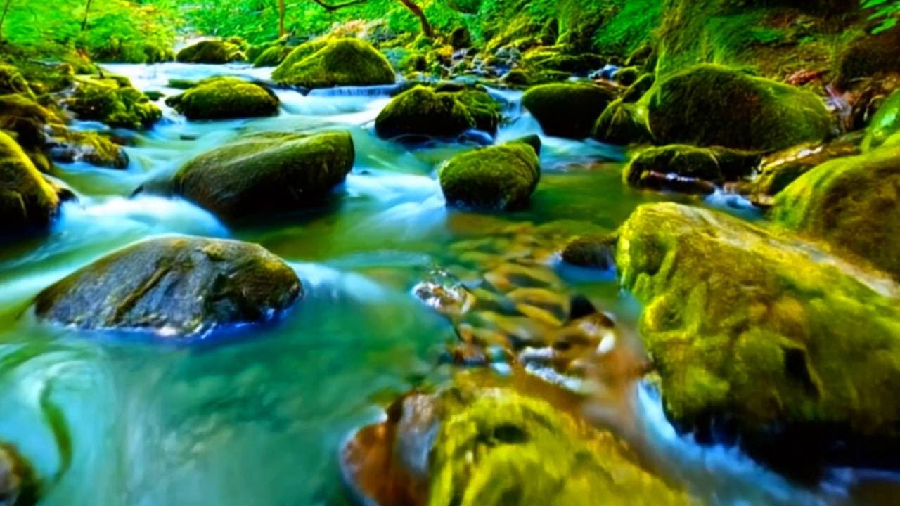 Water Sounds for Sleep or Focus | Relax nature for Sleep, Study and ...