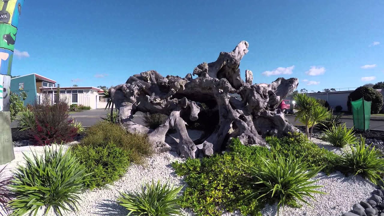 One Tree Point School - YouTube