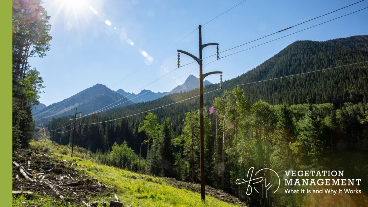 Vegetation Management: What It Is and Why It Works - YouTube
