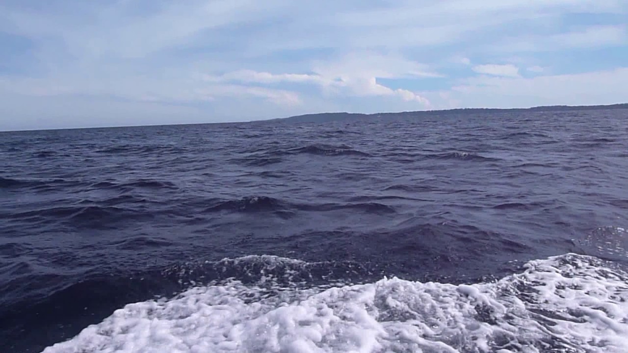 Dive at Kakaban Wall of Kakaba, Indonesia on May 13, 2017 - YouTube
