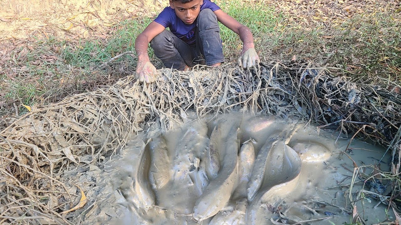 Fishing from inside grass from Pagar chhat - YouTube
