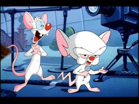 Pinky und Brain german intro