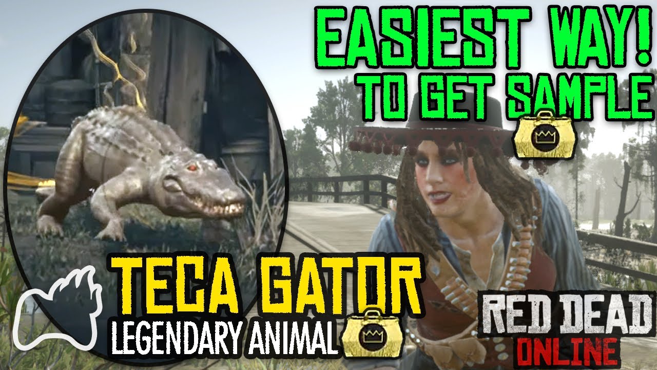 RED DEAD ONLINE Easy Sample TECA GATOR Naturalist Co-Op Mission Protect ...