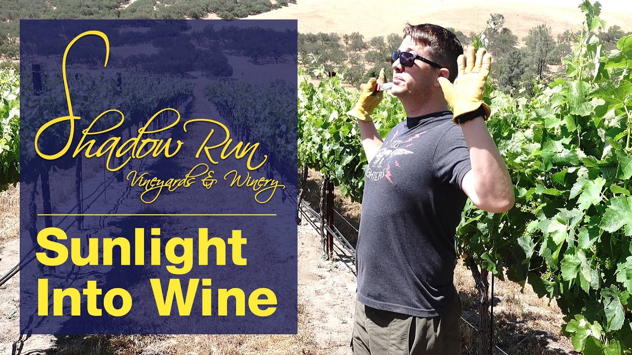 Sunlight into Wine - Shadow Run Vineyards, Paso Robles California - YouTube