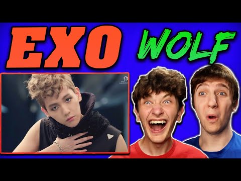EXO - 'Wolf' MV REACTION!!