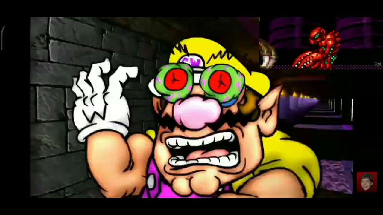 living with wario speedrun 18 second video with space pirate - YouTube