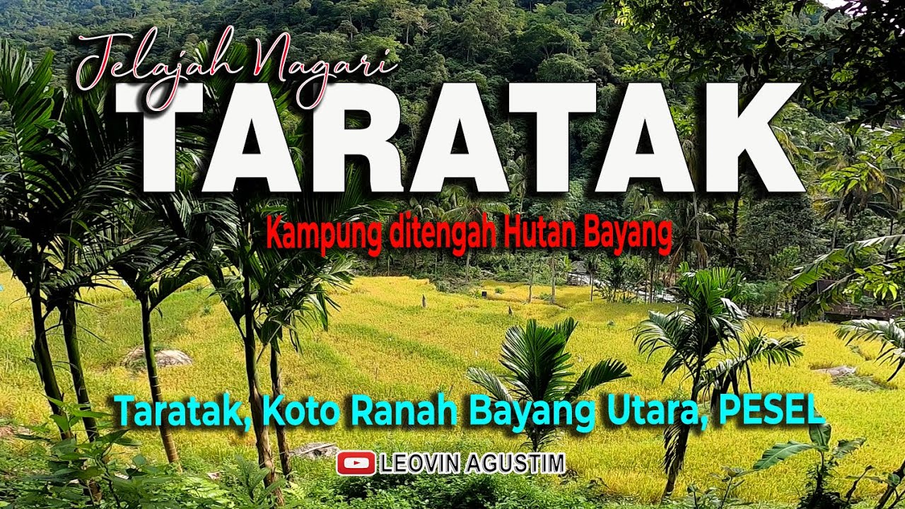 TARATAK - Kampung Kecil di Tengah Hutan Bayang - Jelajah Nagari - YouTube