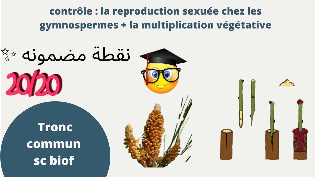 Tronc commun biof :contrôle la reproduction sexuée chez les ...
