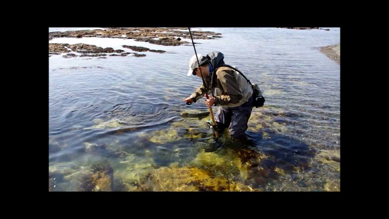 Saltwater Fly Fishing ! Native Big Trout of Japan. - YouTube