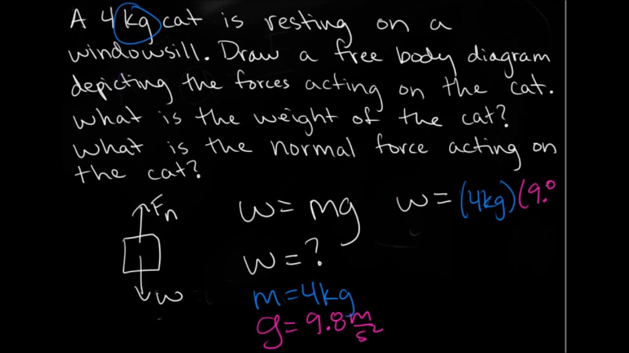 Weight Equation - YouTube