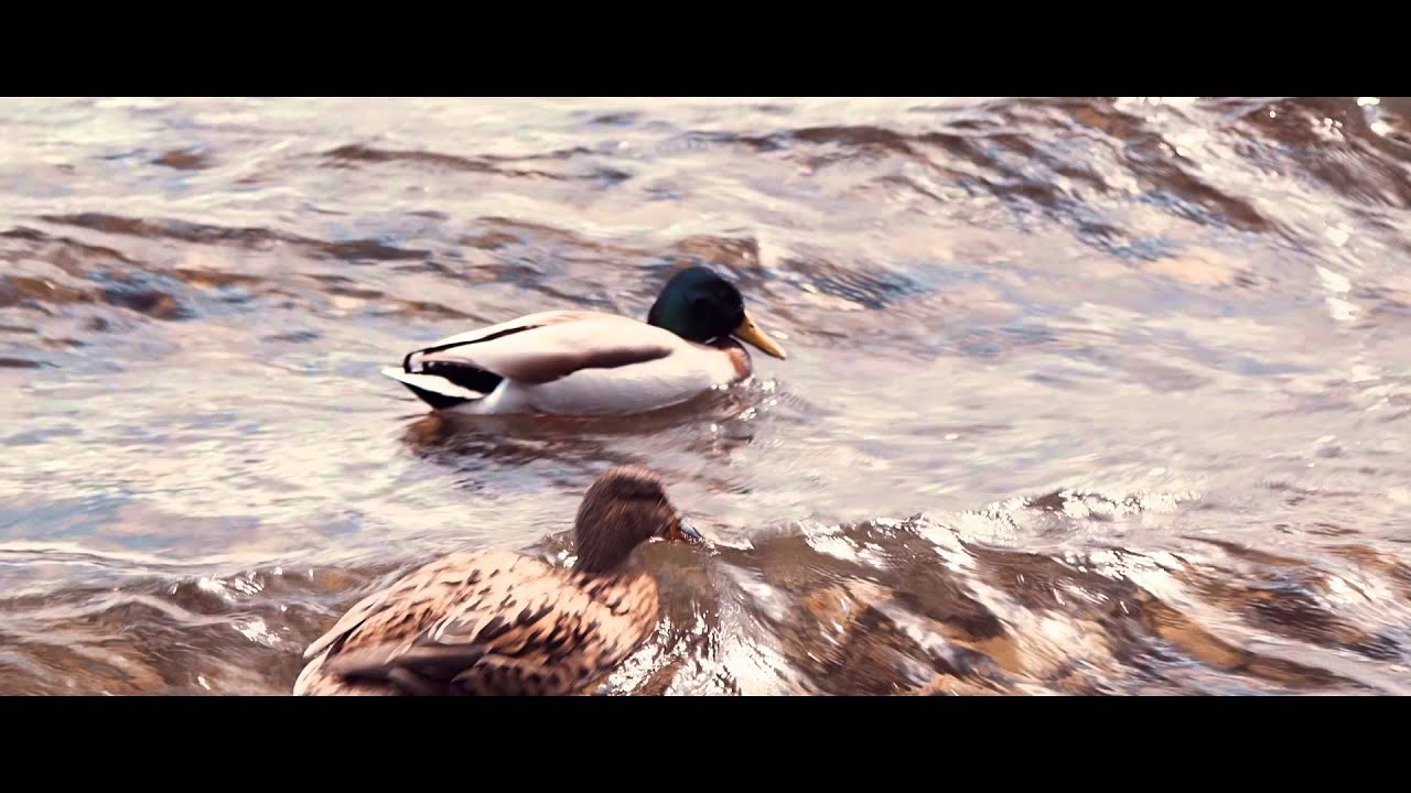 Spring Awakens - Lake District, England - March 2016 - BMCC EF - YouTube