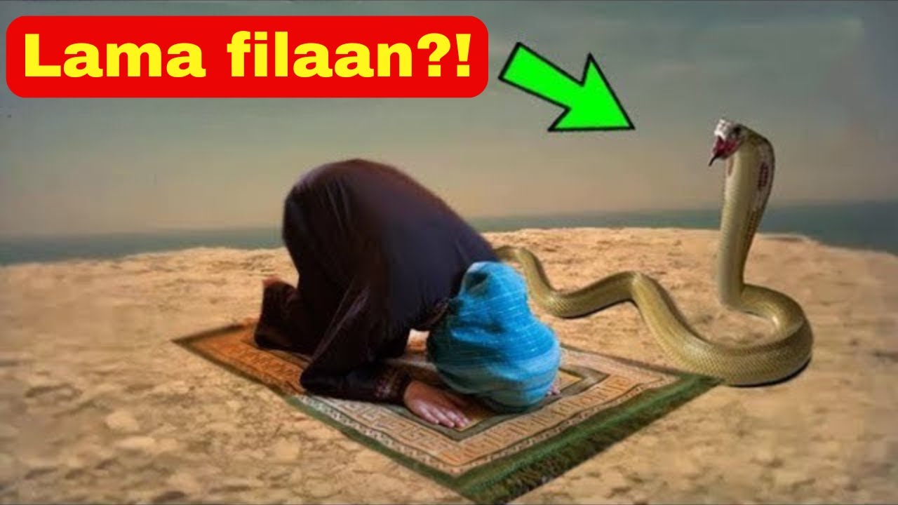 iyadoo meel cidlo ah ku tukaneysa ayaa waxaa dhulka uga soo baxday ...