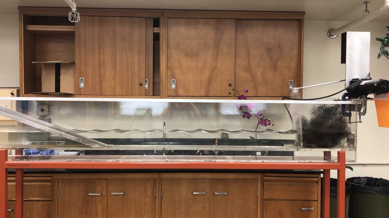 Lab 8 8.1 wave tank fast paddle speed - YouTube