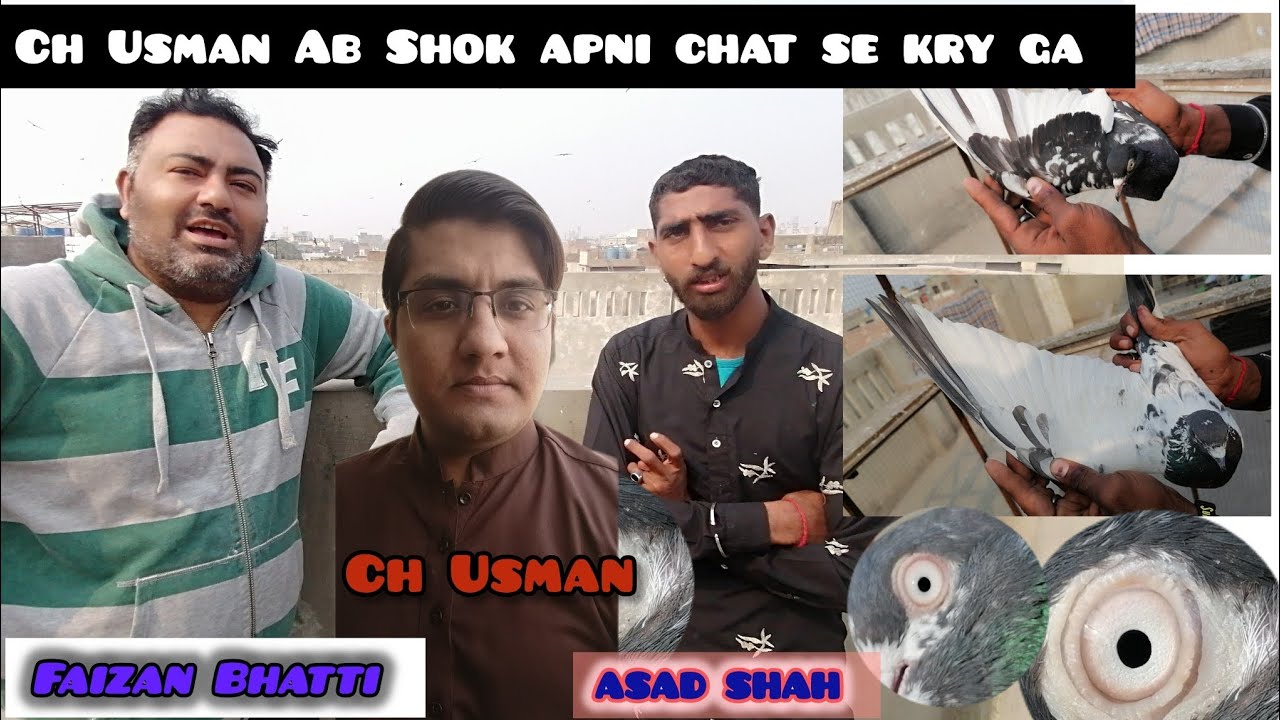 Ch Usman Ki Taraf Sy Faizan Bhatti ko 12 foot Ka Jaal gift Kar diya 🎁 Faizan Bhatti Happy Mood 🤗 ...