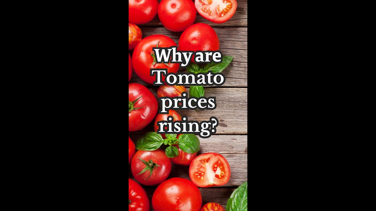Why are tomato prices rising? - YouTube