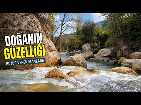 Rahatlatıcı Nehir ve Doğa Manzarası Gerçekten Huzur Veriyor! 🌿💦
