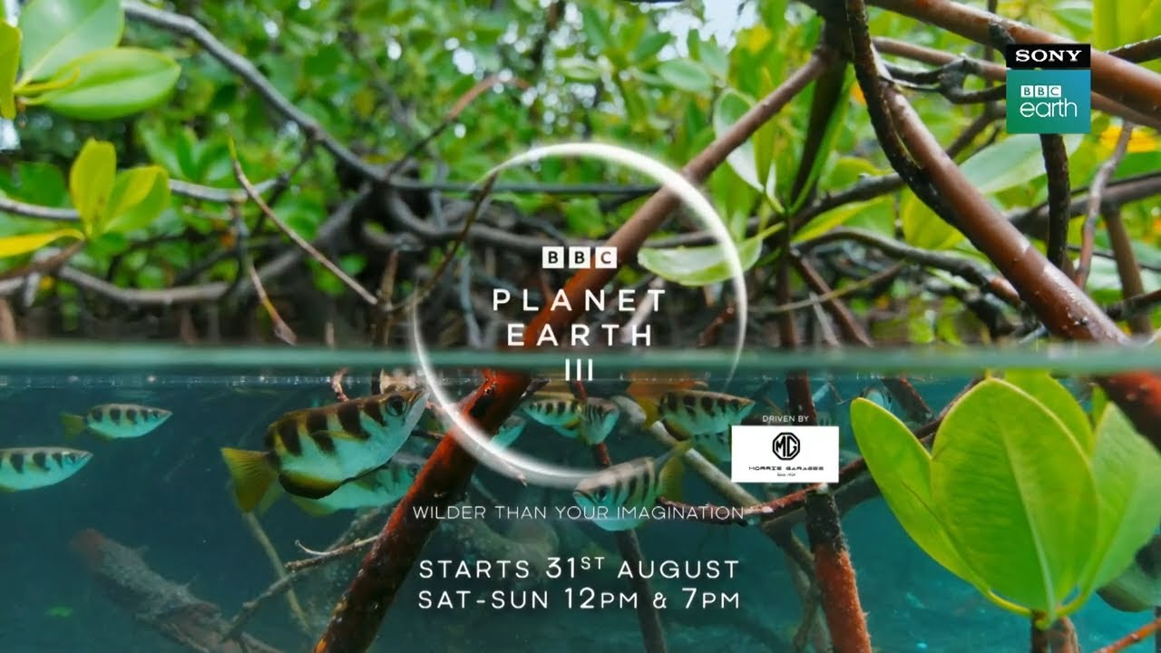 The Beauty of Earth! | Planet Earth III - From Aug 31, Sat & Sun at ...