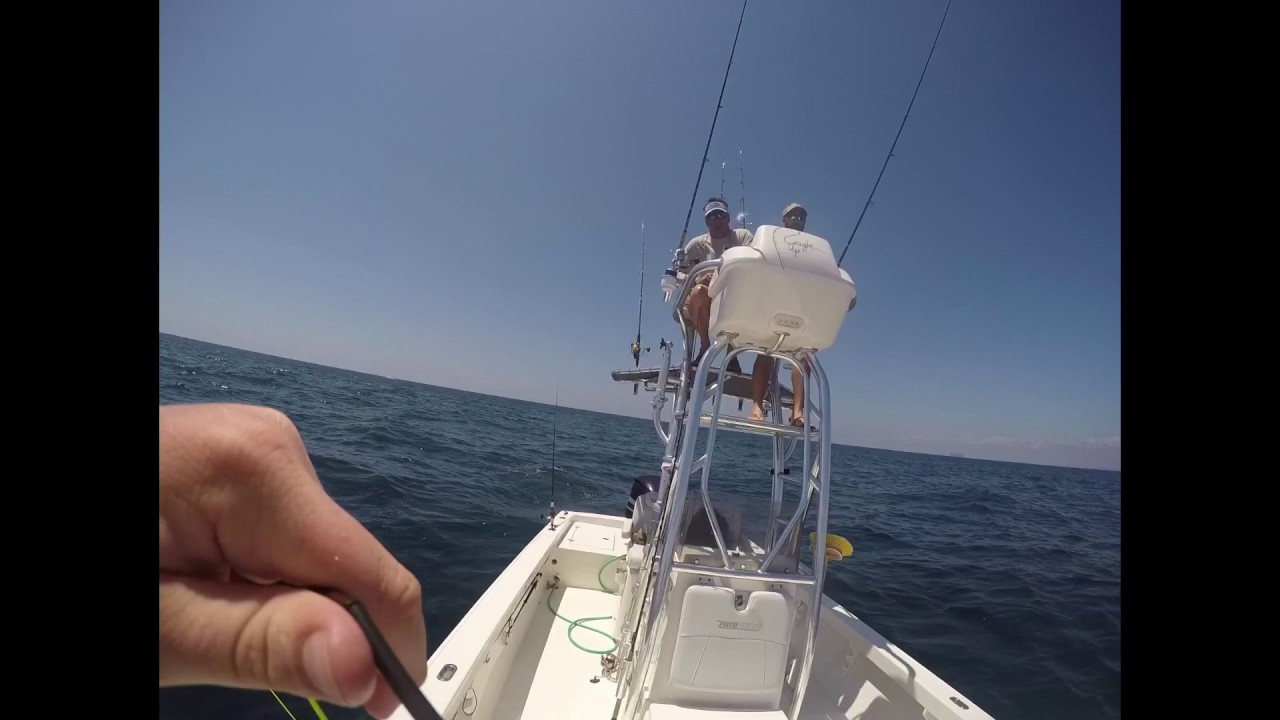 Fly fishing Cobia - YouTube