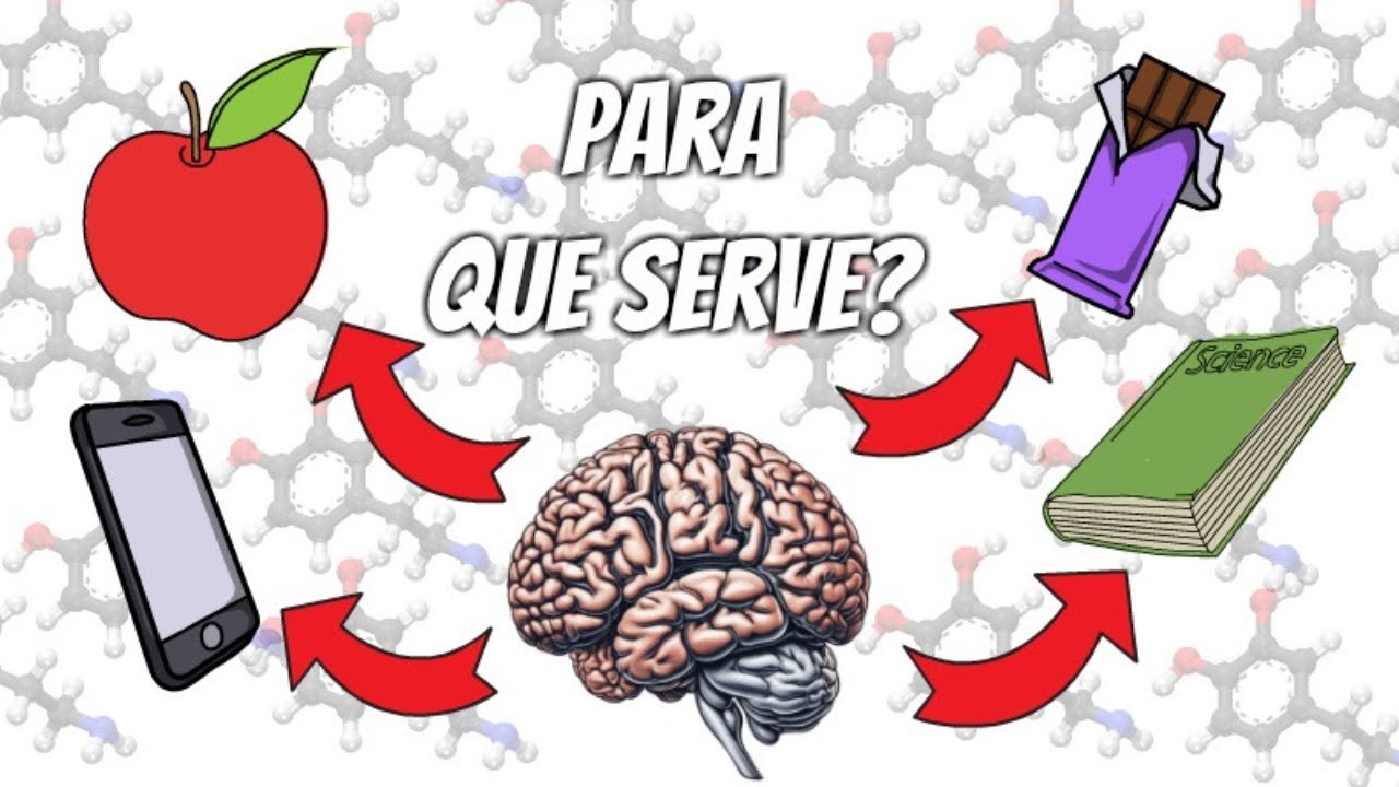 JEJUN DE DOPAMINA, O QUE É? COMO FUNCIONA? - YouTube