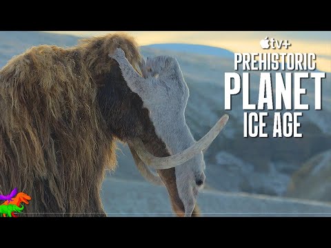 Woolly Mammoths fight off attacking Homotherium | Prehistoric Planet: Ice Age | OFFICIAL CLIP