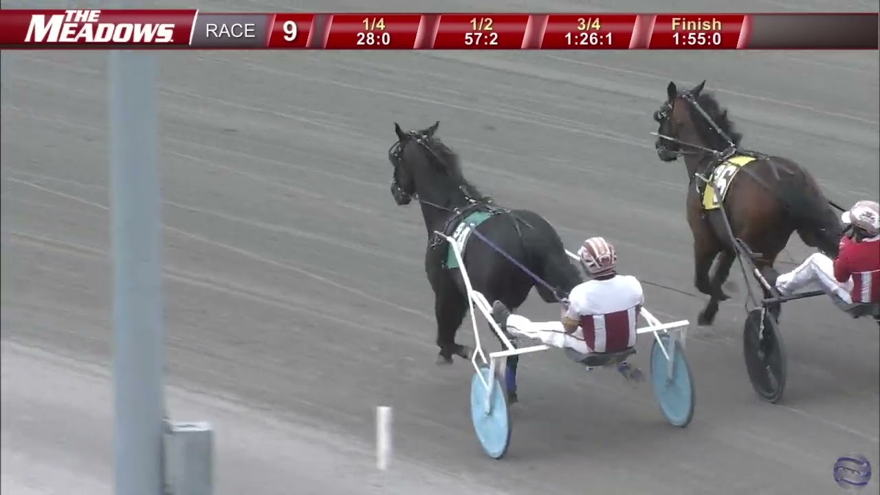 Discover The Thrill of Harness Racing - Hyngstrom Racing