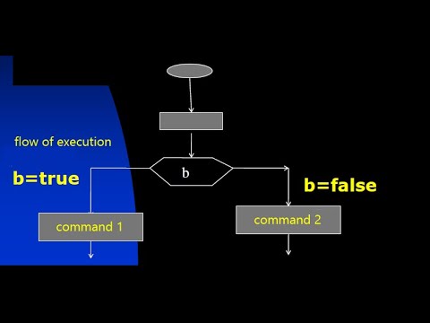Grananje u programu: Ispitivanje Deljivosti - YouTube