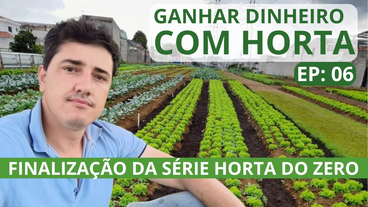 CONCLUSÃO DA SÉRIE HORTA DO ZERO - EP - 06 - DANIEL BARONI - YouTube