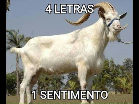 CÊ LOKO NUM COMPENSA - WARZONE 3.0 - S6 - YouTube