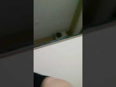 Dei Um Tapa Na Bunda da Minha Prima