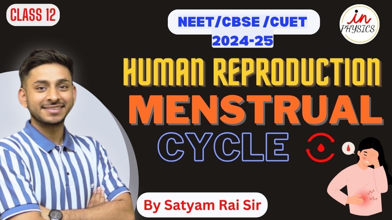 MENSTRUAL CYCLE || CLASS 12TH || CHAPTER - 03 || HUMAN REPRODUCTION ...