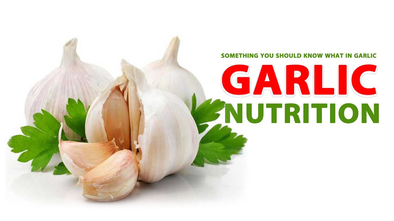 Garlic Nutrition Facts , it is important to know about garlic - YouTube