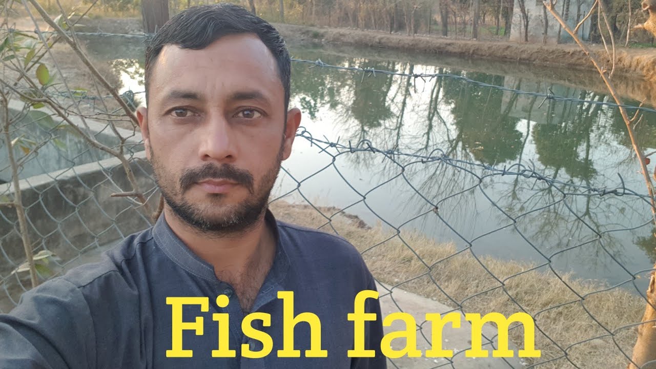 Fish farm visit| fish farming - YouTube