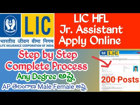 LIC HFL Junior Assistant Application Online Process 2024 Telugu|LIC Jr Assistant Apply Online ...