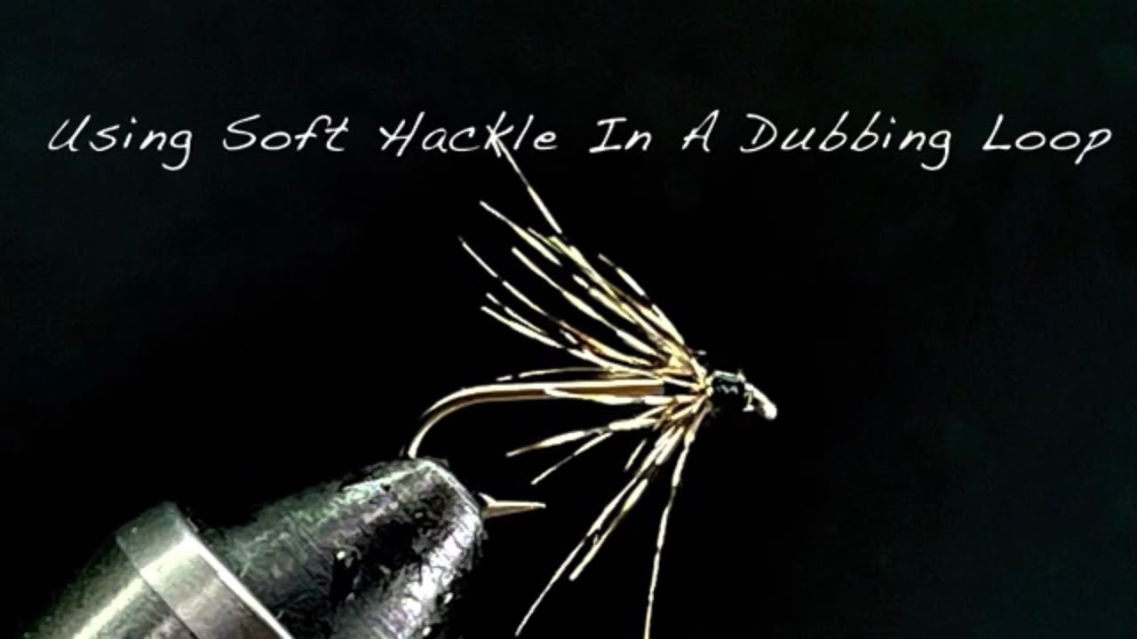 Soft Hackle Dubbing Loop - YouTube