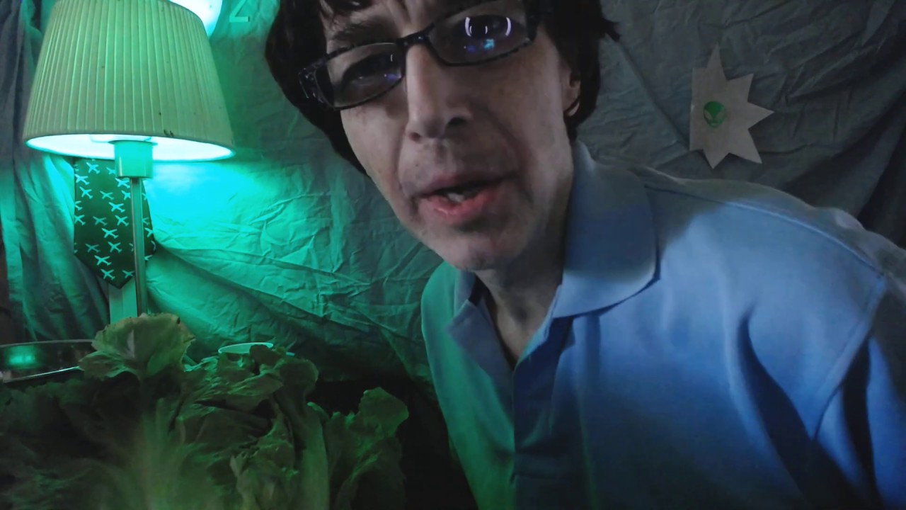 ASMR DUTCH GARY cooking cook KARY is cutting vegetables asmr dutch ...