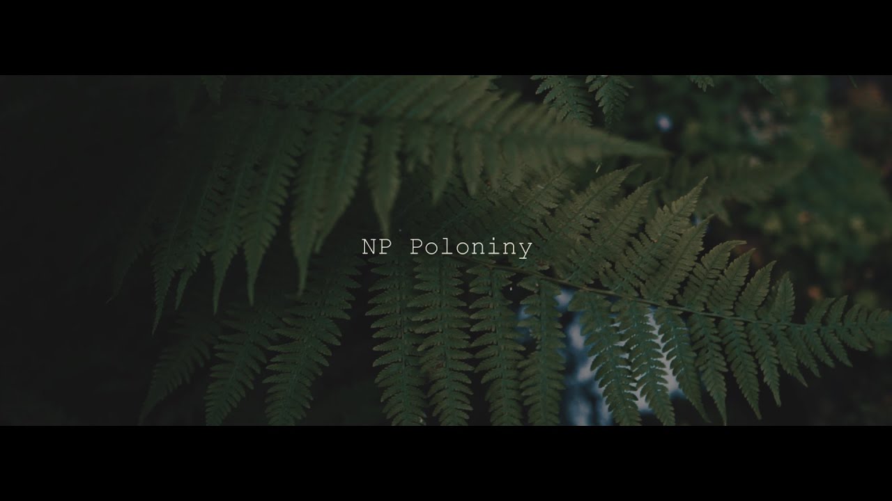 NP Poloniny - Slovensko / MASPhoto - YouTube