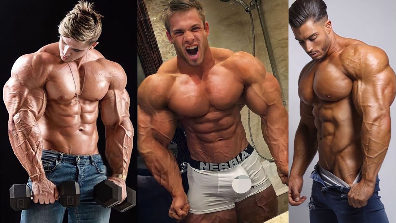 Super Handsome & Shredded Male Muscular Bodybuilders Men's 2023 #664 ...