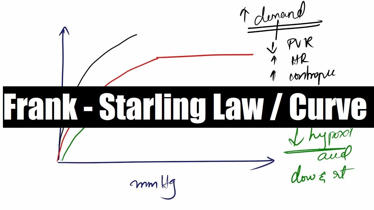 Cardiac Output 3 - Frank Starling Law and Curve ( Cardiovascular ...