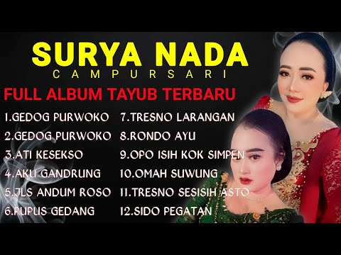 FULL ALBUM TAYUB TERBARU // SURYA NADA // DOKUMENTASI DI RUMAH BPK.TEGUH // RADHISTA AUDIO
