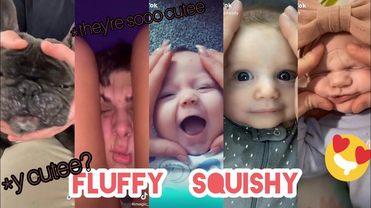 Fluffy squishy face *soooo cuteeee! - YouTube