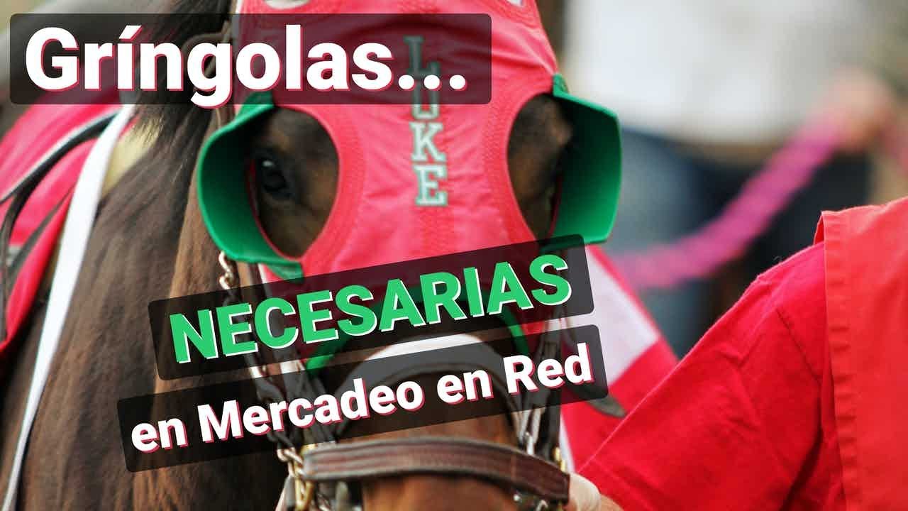 Gríngolas. NECESARIAS en Mercadeo en Red. - YouTube