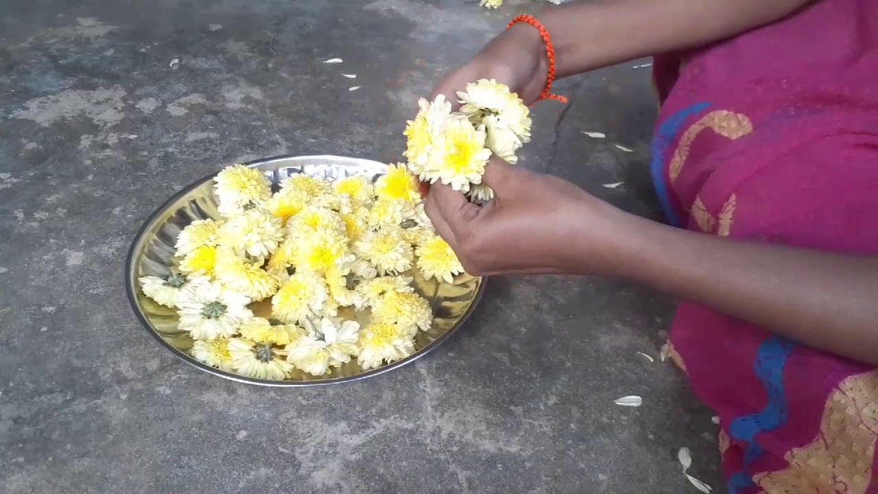 Pongal special samanthi poo Malai// samanthi flower Malai garland - YouTube