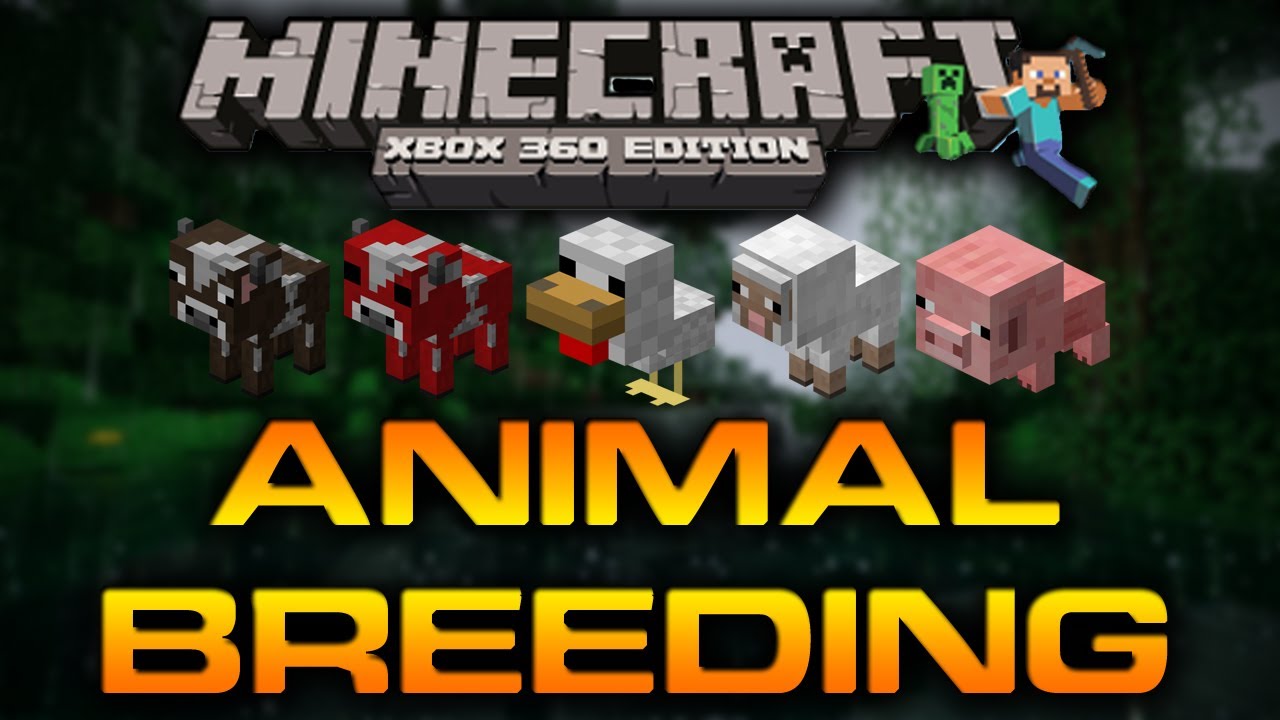 Minecraft (Xbox 360): ANIMAL BREEDING GUIDE (1.0.1 HOW-TO) [TU7] - YouTube