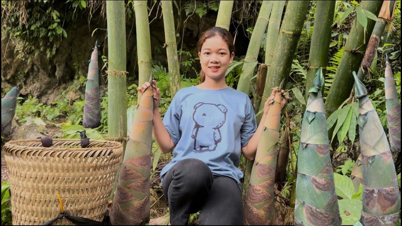 Harvesting Bamboo Shoots to Sell at Market - How to Make Chili Bamboo Shoots @NANAGeniusGirl ...