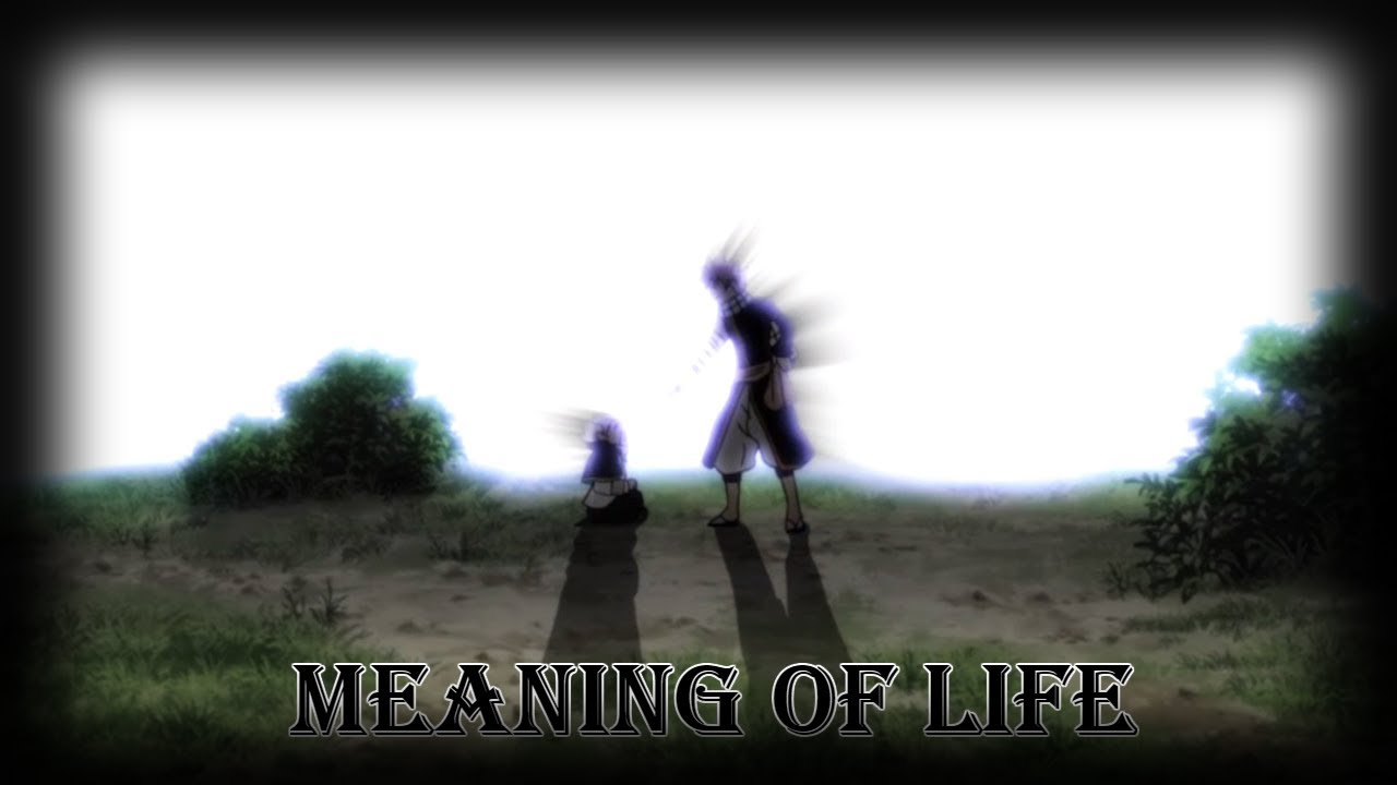 asmv-fairy-tail-meaning-of-life-youtube